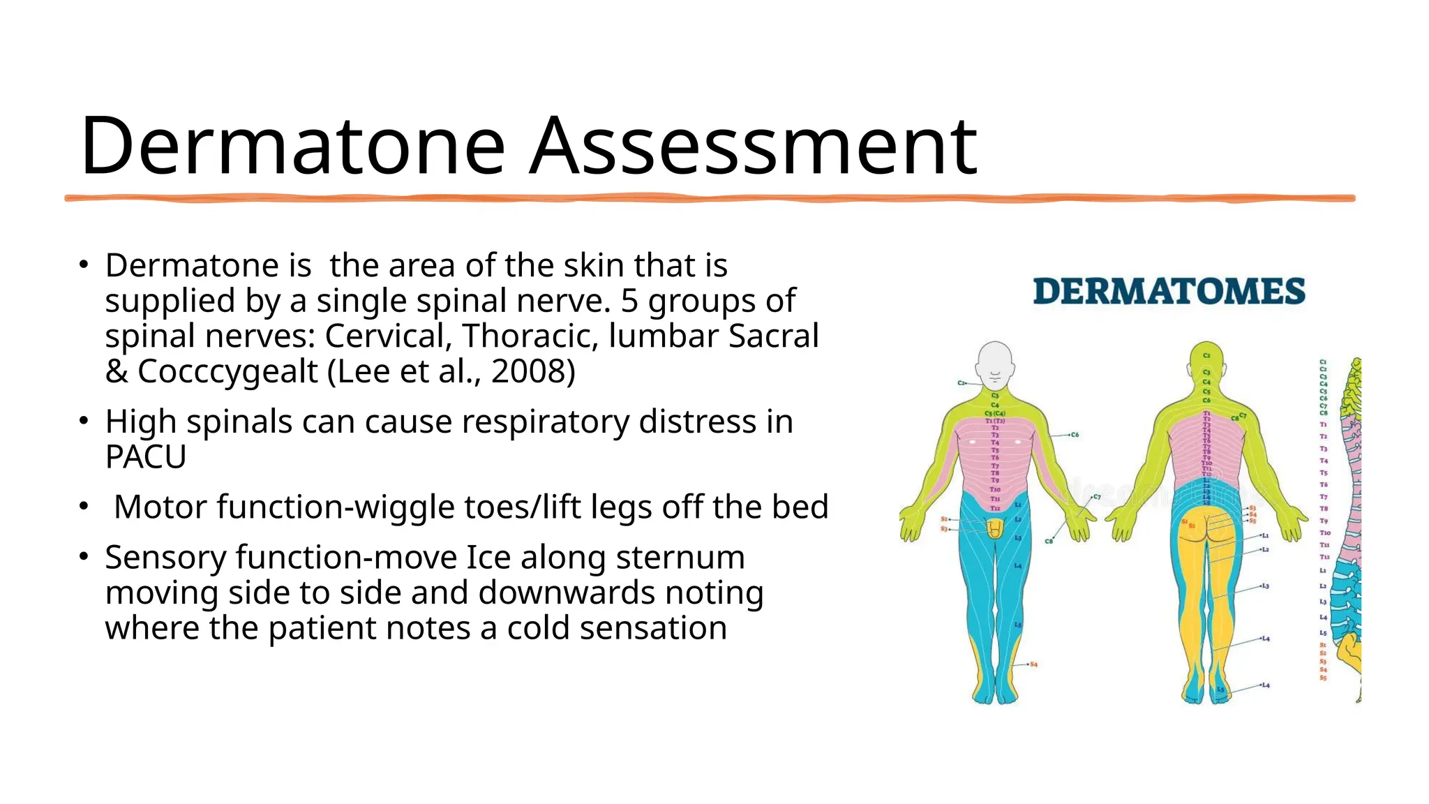 Spinal Anaesthetic Cheat Sheet for Nurses | PPTX