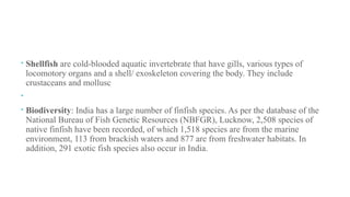 fish and fisheries pptx , identification of indian fish | PPTX