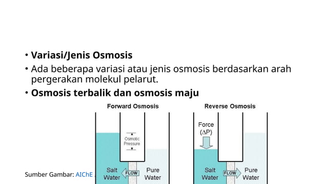 Presentation_transpor membran_difusi, osmosis , transpor aktif.pptx