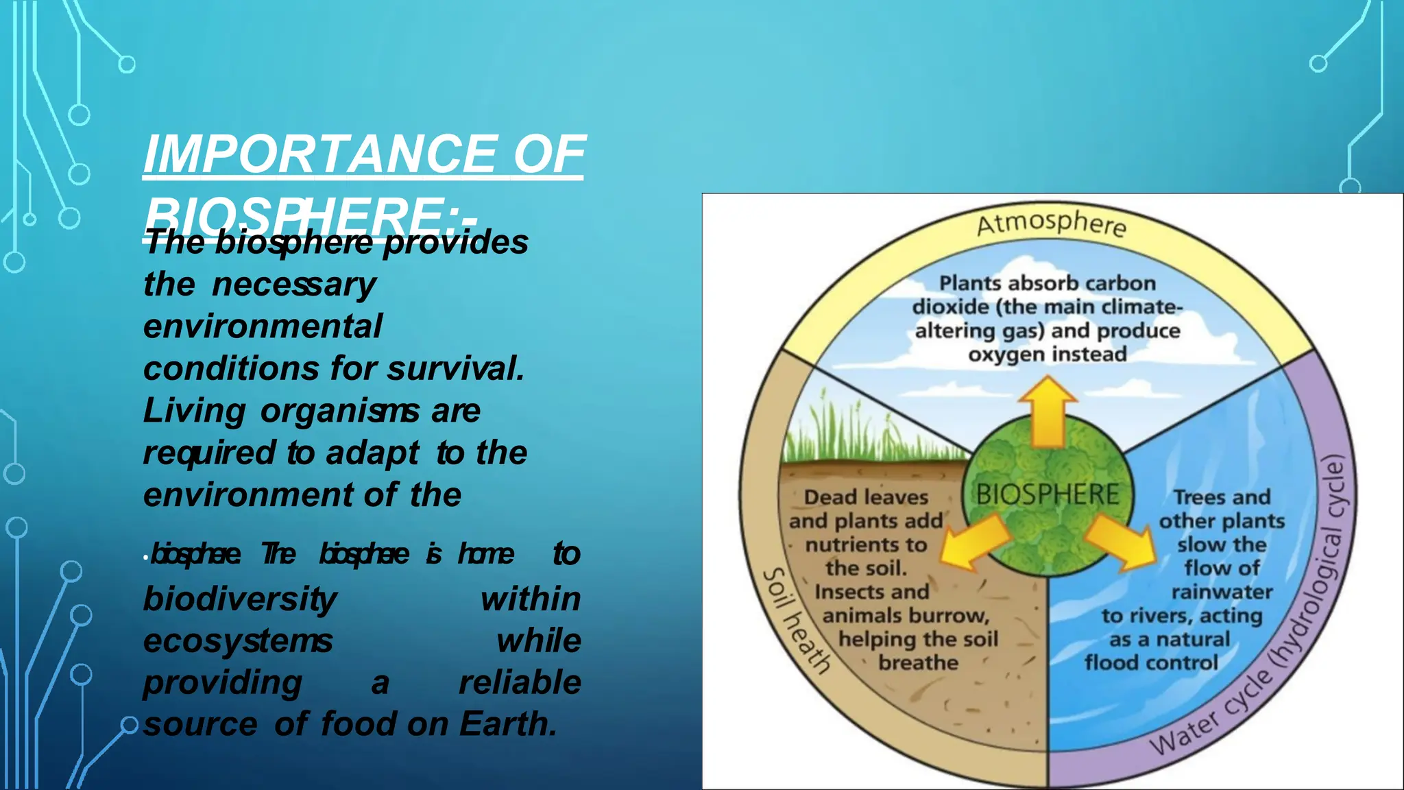 Presentation (1).pptxgguujijhgthjjjjjgytyy | PPTX