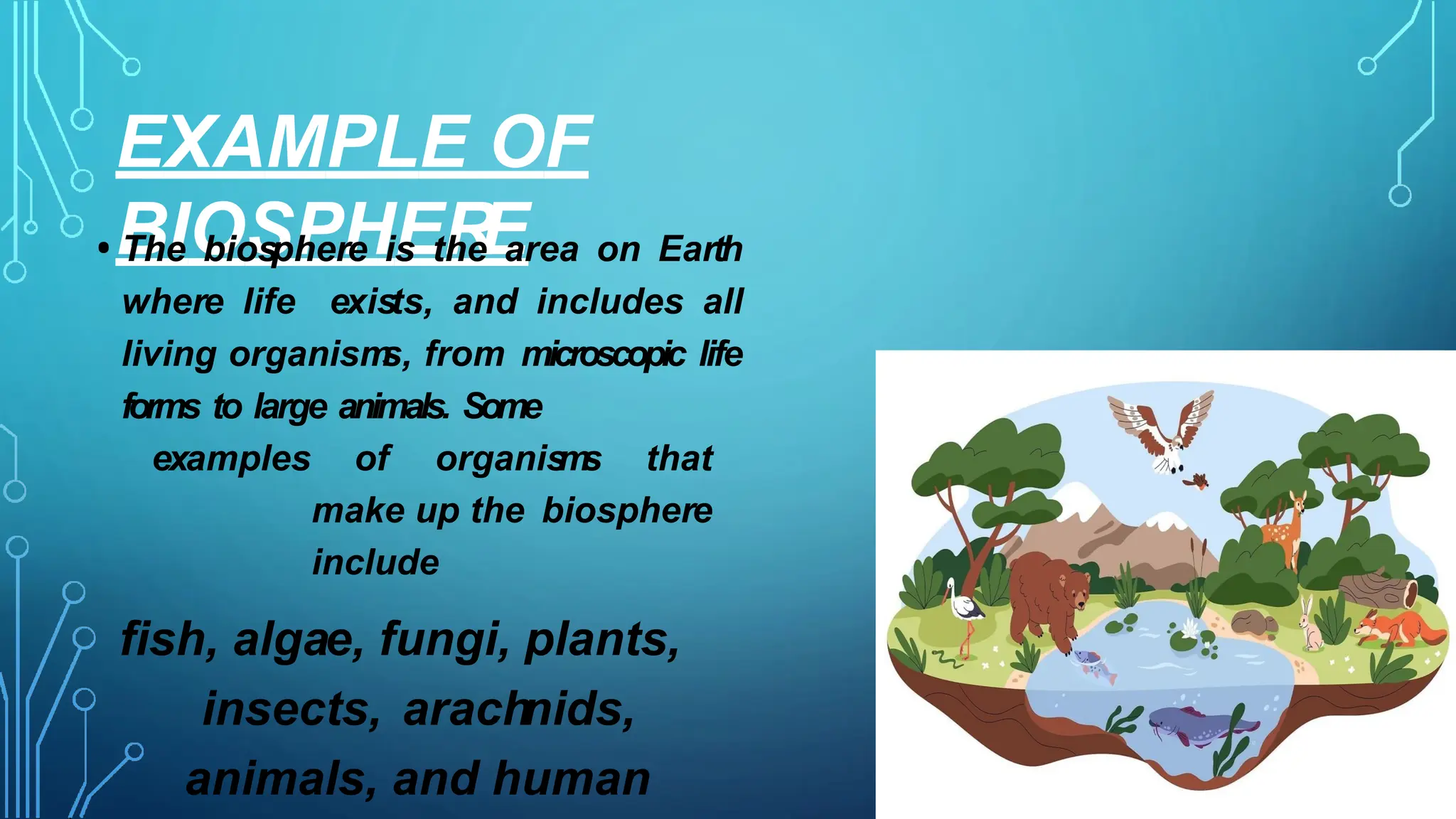 Presentation (1).pptxgguujijhgthjjjjjgytyy | PPTX