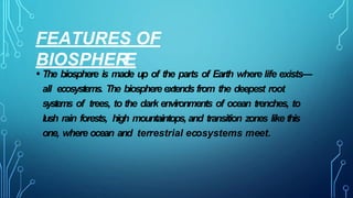 Presentation (1).pptxgguujijhgthjjjjjgytyy | PPTX