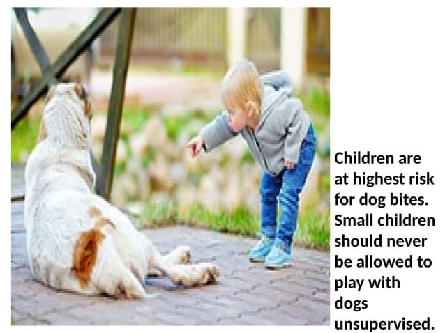 DOG BITE ON HUMANS,TREATMENT ,IMMUNIZATION AND LEGAL IMPLICATION | PPTX ...