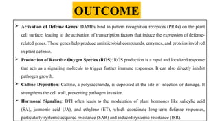 Presentation on plant innate immunity.pptx