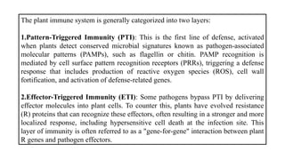 Presentation on plant innate immunity.pptx