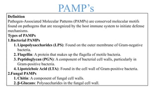 Presentation on plant innate immunity.pptx | Gardening | Home & Garden