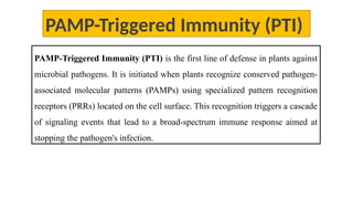 Presentation on plant innate immunity.pptx