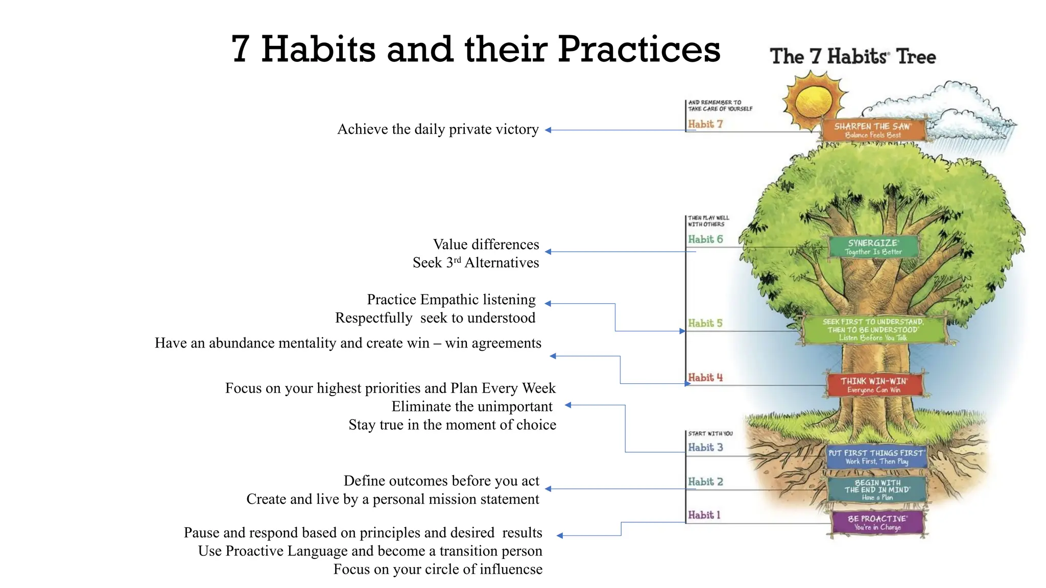 The Leader in Me: How Schools and Parents Around the world, tree by ...