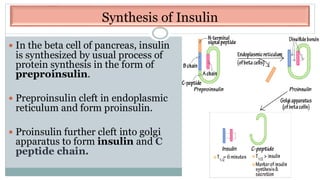 Presentation (1).pdfkkhhhjjjkkkkkklllllm | PDF