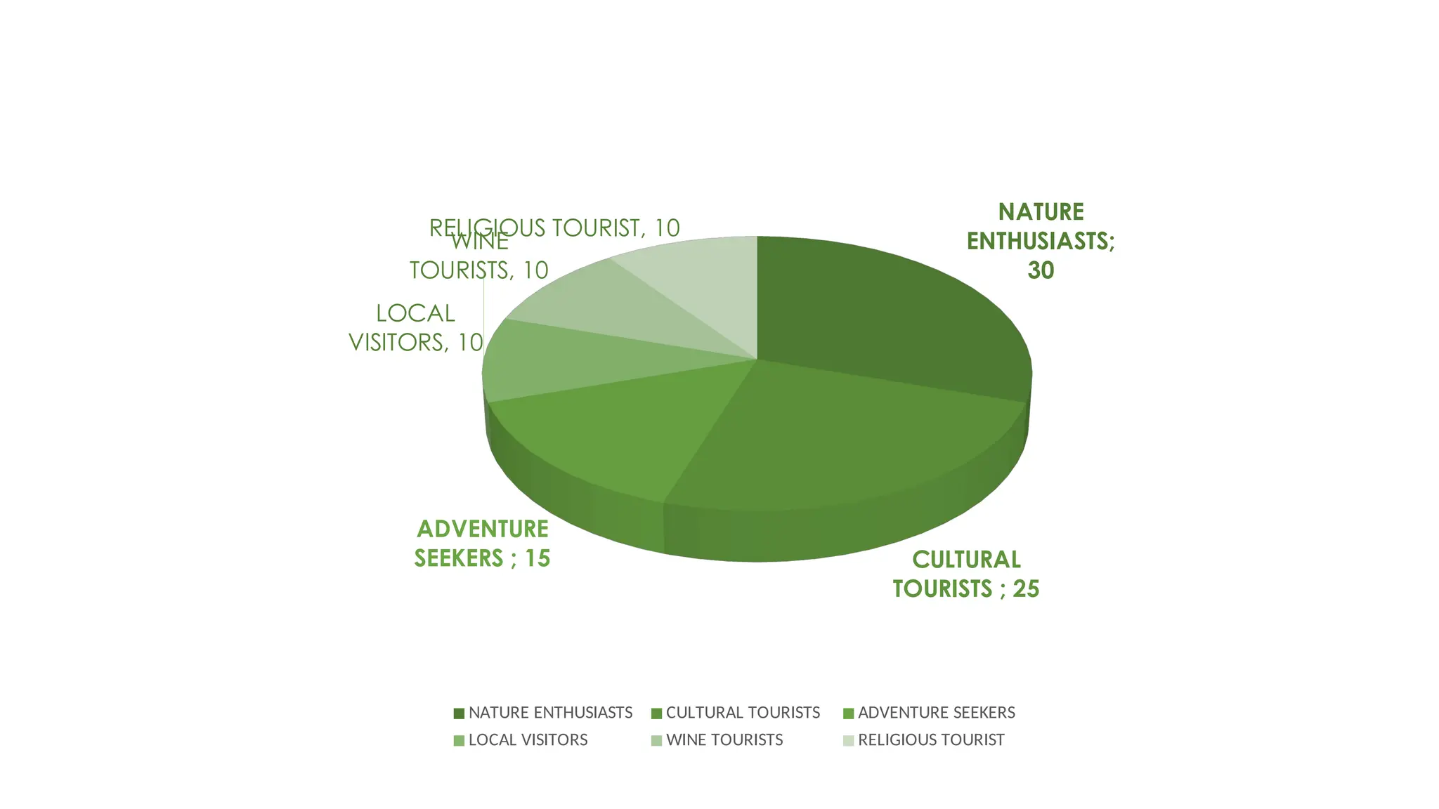 Presentation 1 PIE CHART OF TYPES OF TOURISTS | PPTX