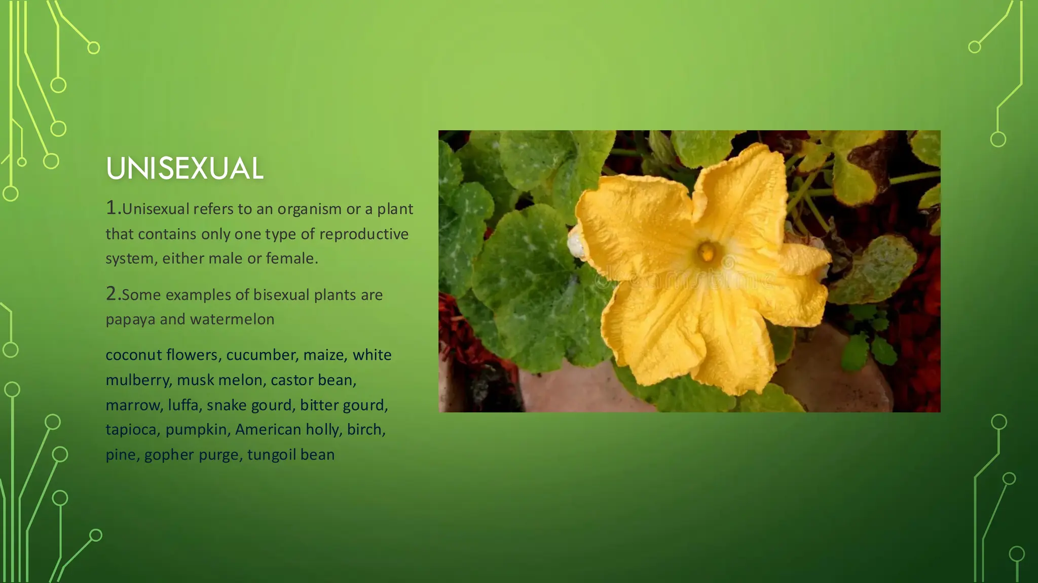 Presentation (1).pdf biology project class 10 | PPT