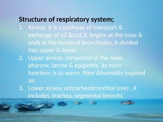 Presentation oxygenation preview and general background | PPTX