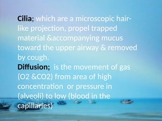 Presentation oxygenation preview and general background | PPTX