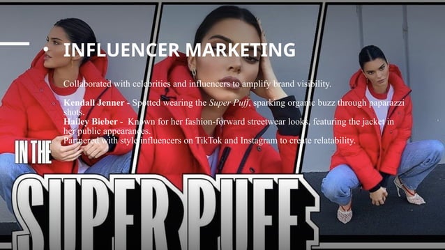 My Point of View about Aritzia's Super Puff Campaign | PPT