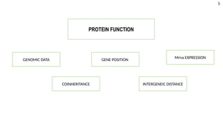 protein function on genome wide scale analysis.pptx