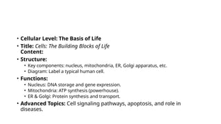 Presentation systems of human body and.. | PPT