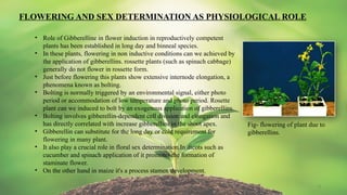 Presentation1.pptxghghghghghghghghghghghg | PPT