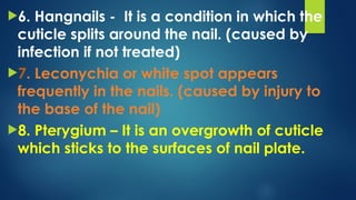 For Grades 8/9/10 and 11Nail Diseases and Disorders | PPT
