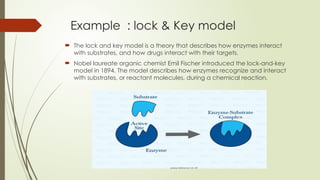 Presentation of drugs and drug receptor mechanisms | PPT