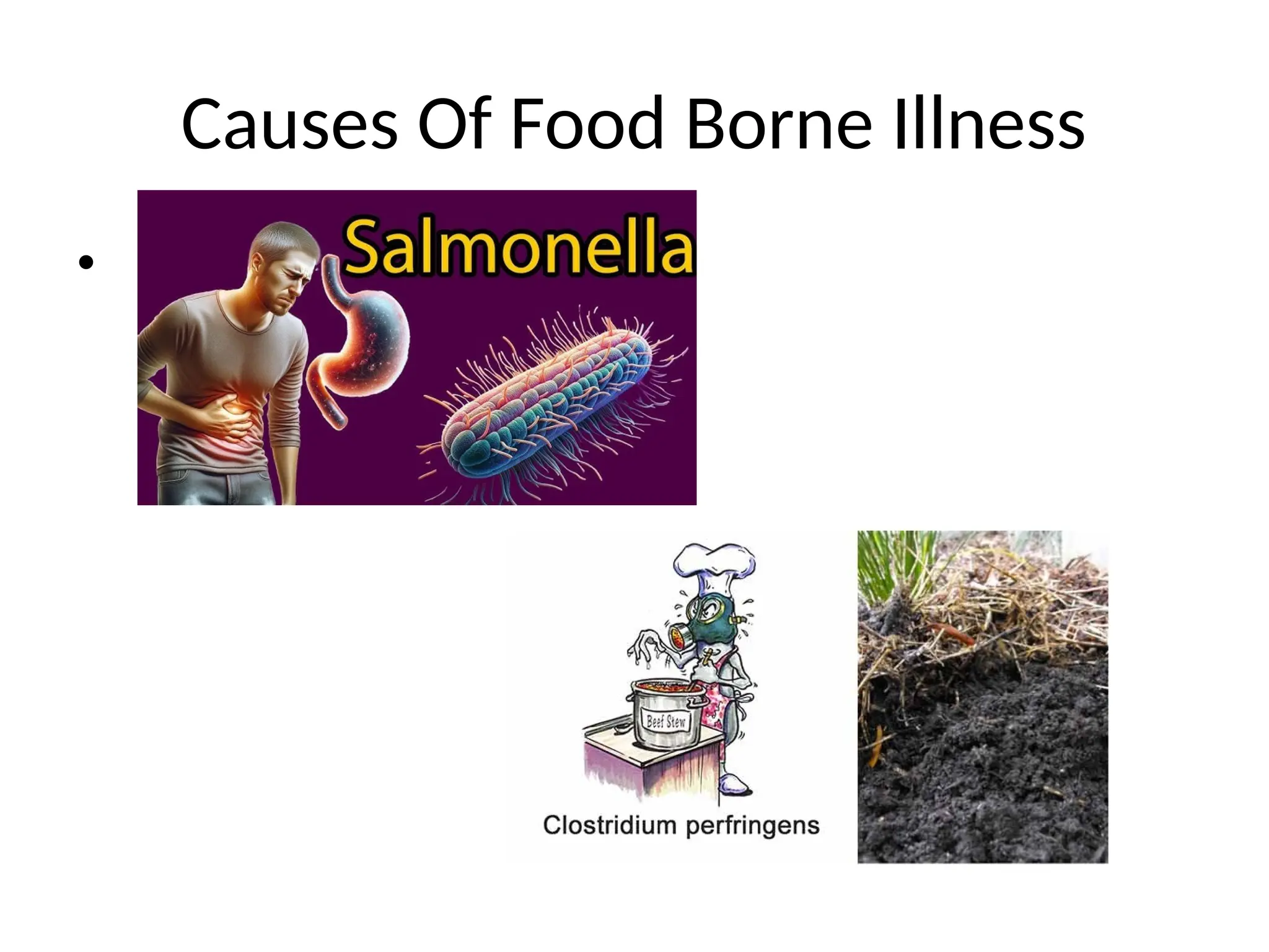 Presentation1 food borne illness disease food science and technology.pptx
