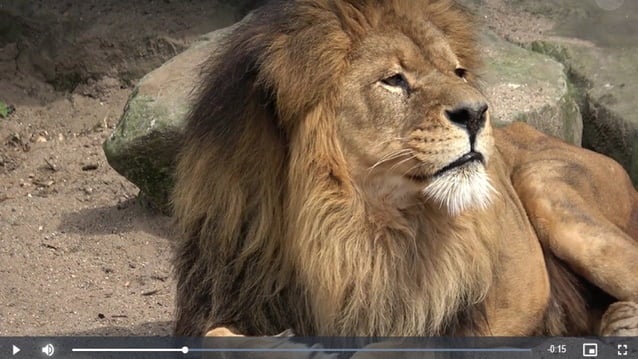 Presentation1Presentation1Presentation1.pptx