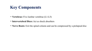PLID: Understanding Causes, Symptoms, and Treatments | PPTX