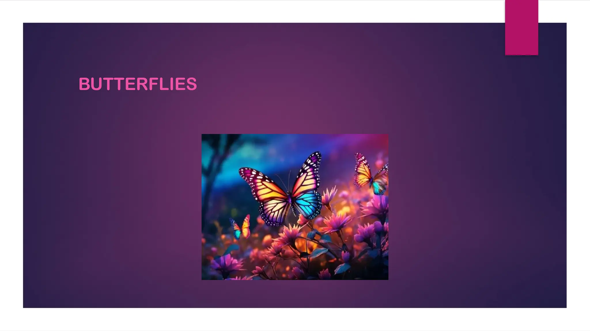 all about the butterflies and its special | PPT