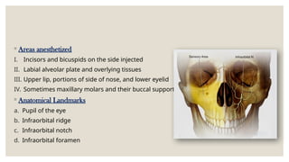 Local anesthetic- extraoral facial blocks | PPTX