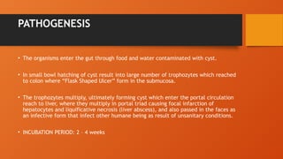 Presentation(1).ppt about amoebiasis, types | PPT