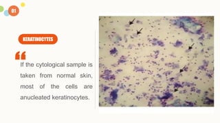 Fungal culture and it's investigation which are required | PPT