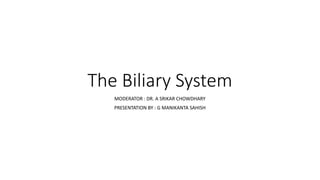 Presentation the biliary system final.pptx