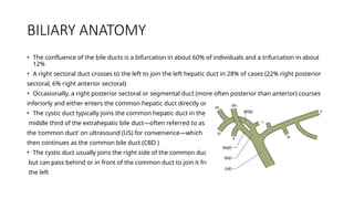 Presentation the biliary system final.pptx