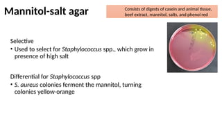 Microbiology common agars for testing in microbiology | PPT
