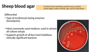 Microbiology common agars for testing in microbiology | PPTX