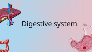physiology and anatomy : digestive system | PPTX