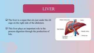 physiology and anatomy : digestive system | PPTX