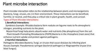 Role of epigenetics in plant microbe interaction ppt | PPTX