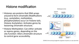Role of epigenetics in plant microbe interaction ppt | PPT