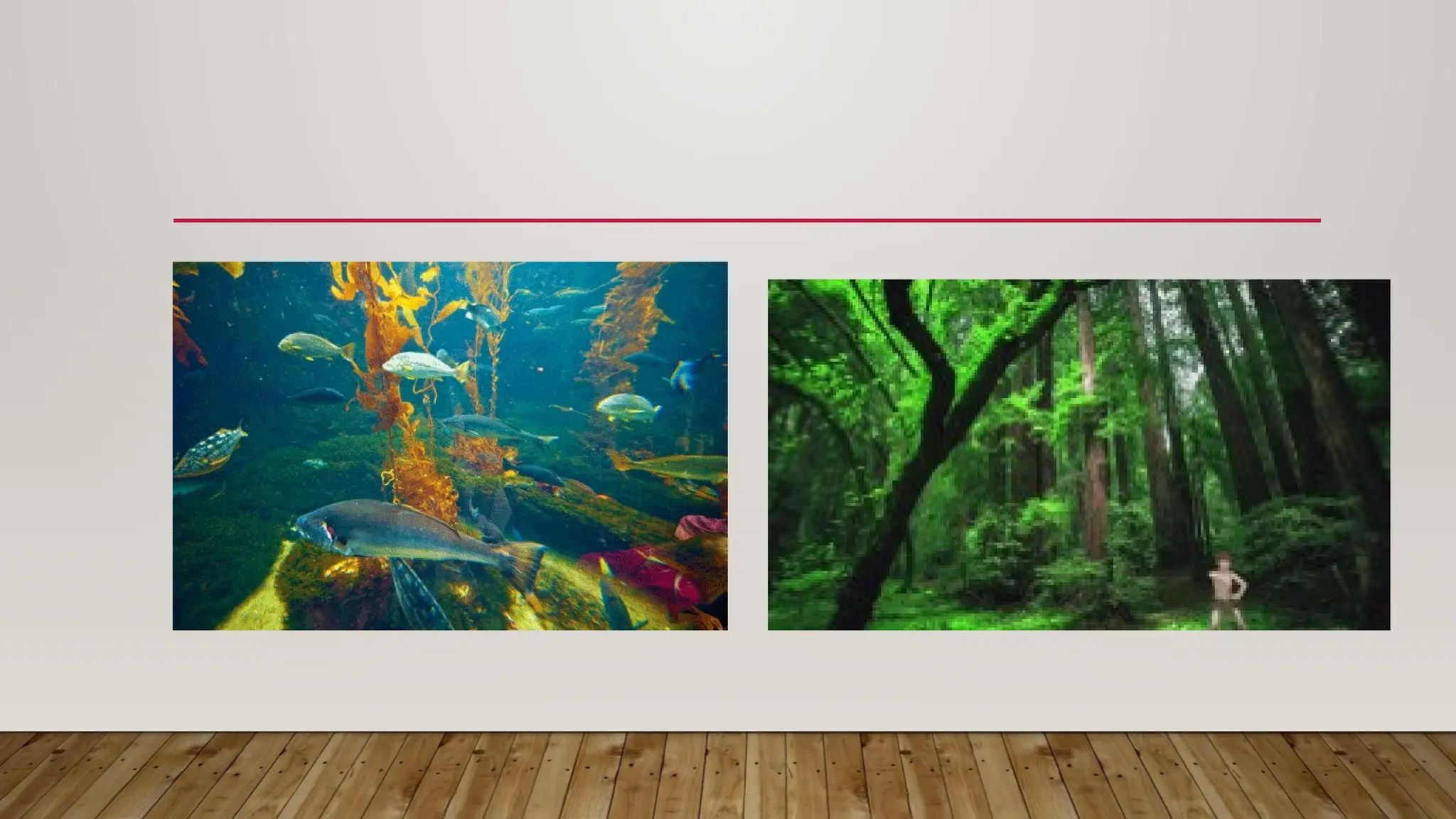 ECOSYSTEM, ABOUT PRESERVING AND CONSERVING | PPT