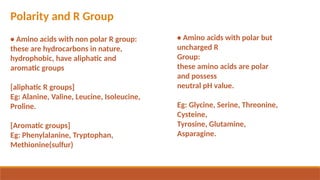 AMINO ACIDS ( types and forensic importance) | PPTX