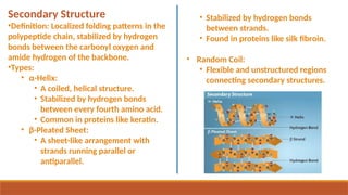 AMINO ACIDS ( types and forensic importance) | PPTX