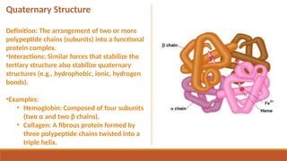 AMINO ACIDS ( types and forensic importance) | PPTX