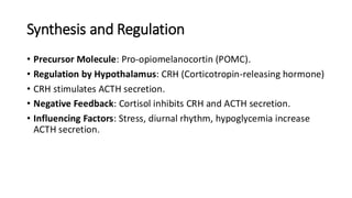 Presentation (1).pdf00000000000006166638819 | PPT