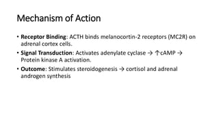 Presentation (1).pdf00000000000006166638819 | PPT