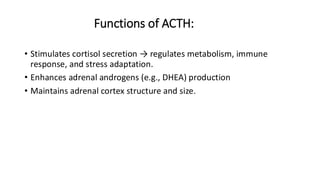 Presentation (1).pdf00000000000006166638819 | PPT