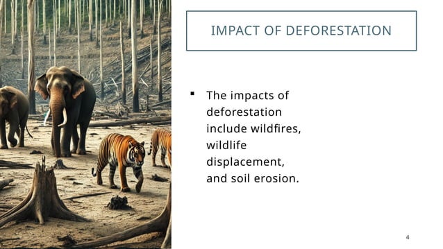 Deforestation Problem - The Biggest Factors | PPT