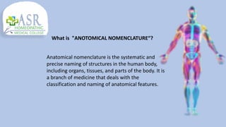 Anatomical nomenclature presentation (1). Pdf | PDF