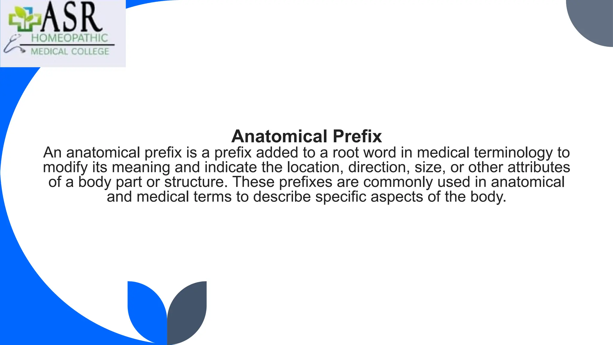 Anatomical Prefixes - hydro and hyster | PPTX