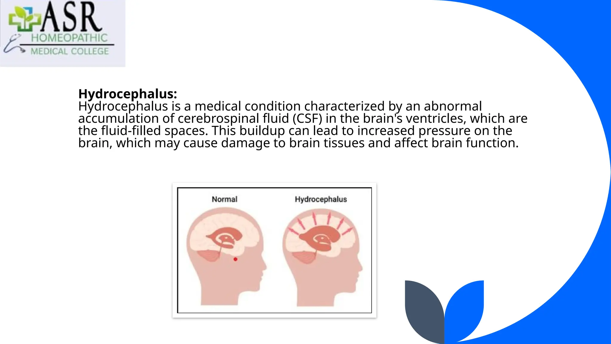 Anatomical Prefixes - hydro and hyster | PPTX