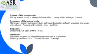 Anatomical Prefixes - hydro and hyster | PPTX